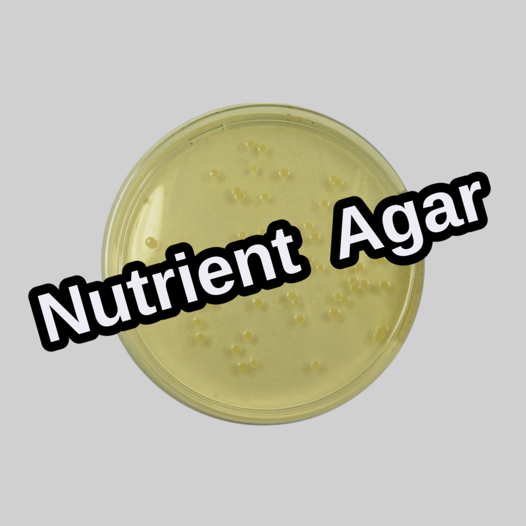 Nutrient Agar - ScienceBazar